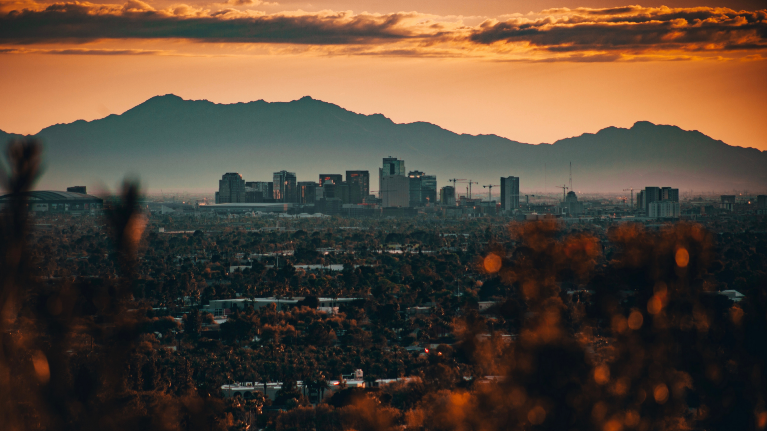 Admissions - Alpha High School